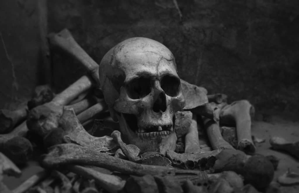 Forensic Anthropology: Career Guide & Professional Pathways